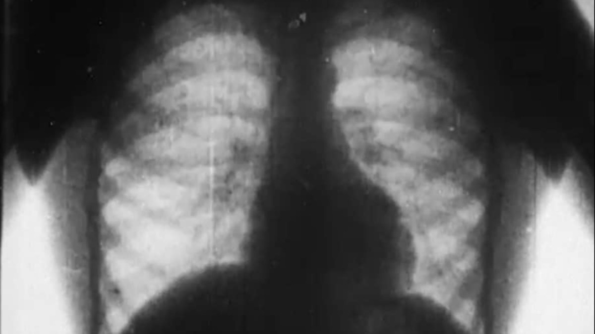 INTERIOR: AN EXQUISITE CORPSE FILM – STRAND B